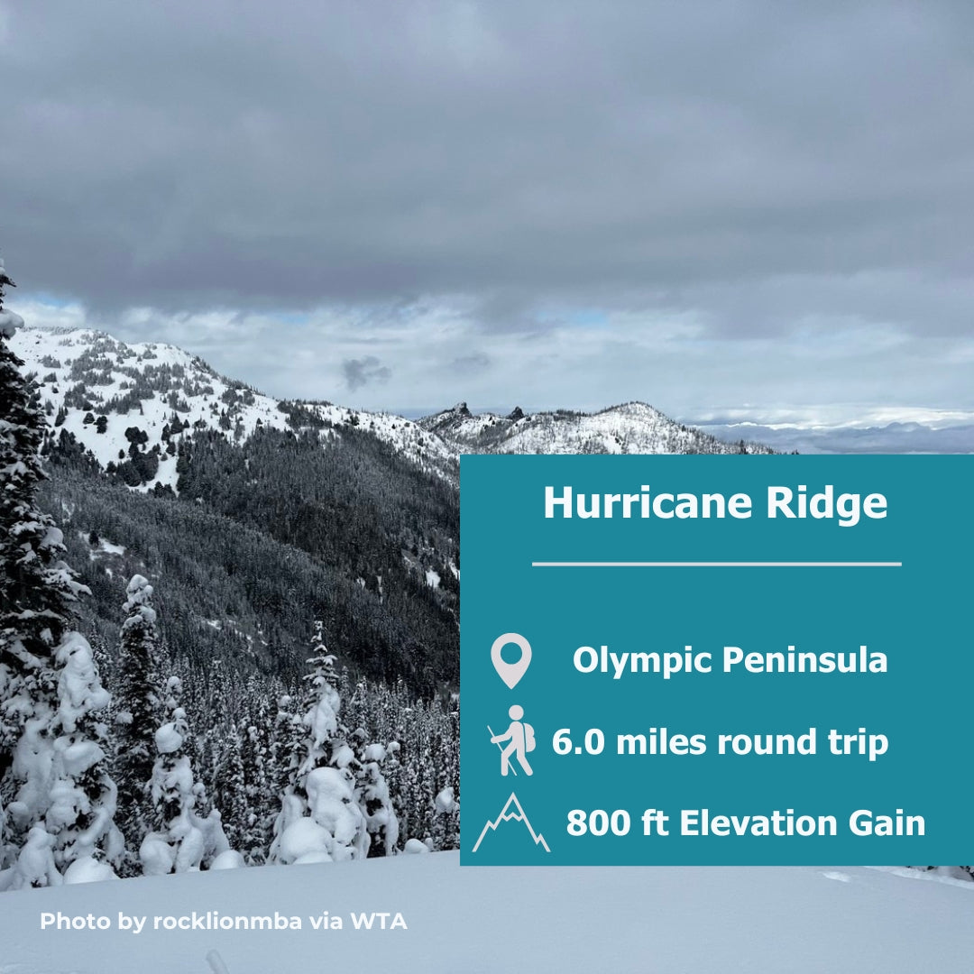 Snowshoeing Hurricane Ridge: A Must-Do Winter Adventure – Rainier Watch
